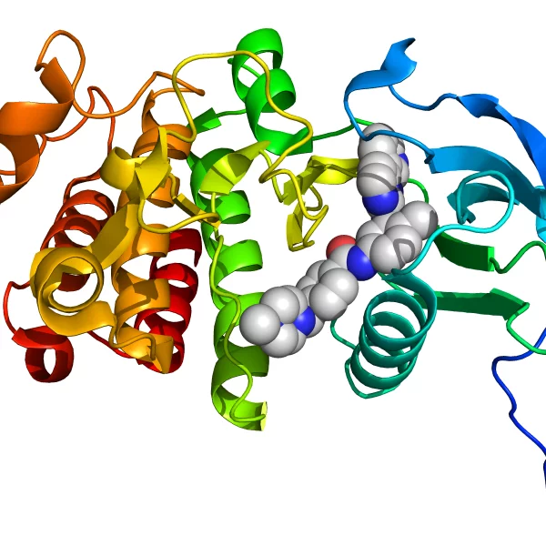 Purchase Adipotide from Melanotan Express | Fast and Secure Delivery